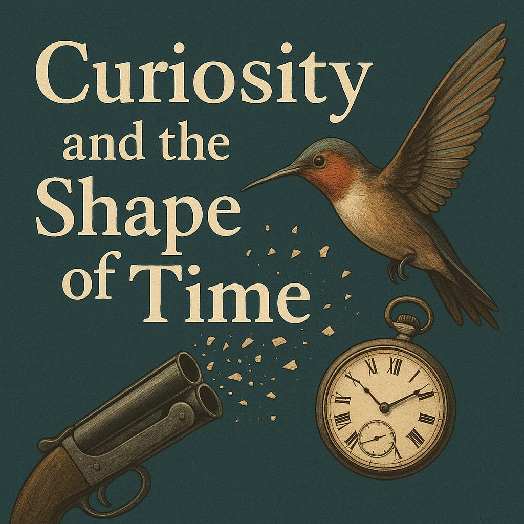 Curiosity and the Shape of Time | by Brock Dubbels Ph.D. | Medium