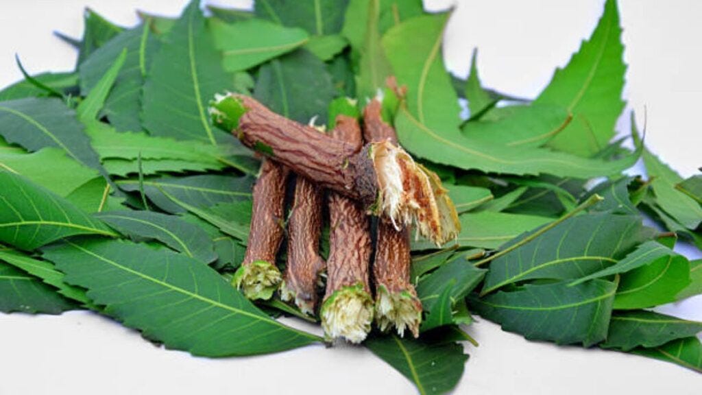 neemNeem Bark: A Natural Remedy for Common Skin Diseases | by kristan ...