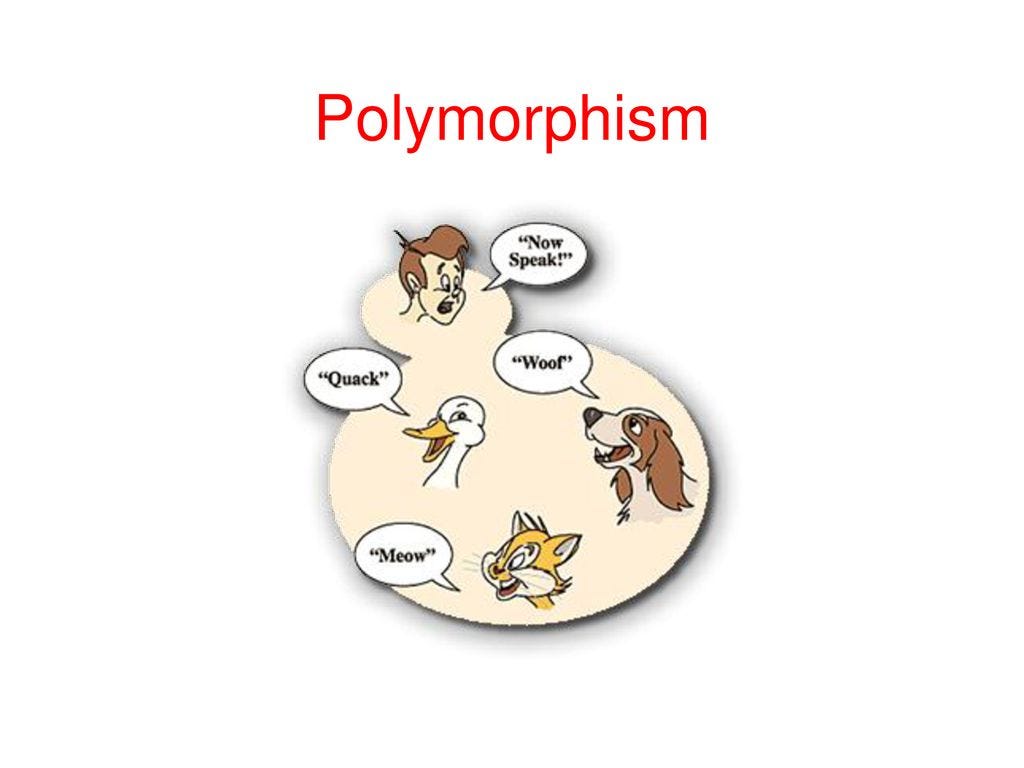 Polymorphism In Go In Go Polymorphism Is Achieved Through By David