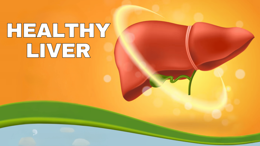 How to keep Liver healthy. लीवर की देखभाल हमारे शरीर के सबसे… | by holy ...