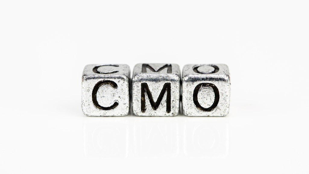 Fractional CMO For E-commerce: A Guide For Startups | by Amin Robinson ...