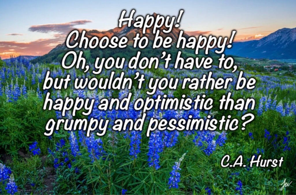 Happy! - C. A. Hurst - Medium