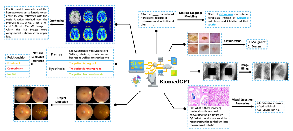 Overview of Last LLM in Medicine like never know before now | by ...