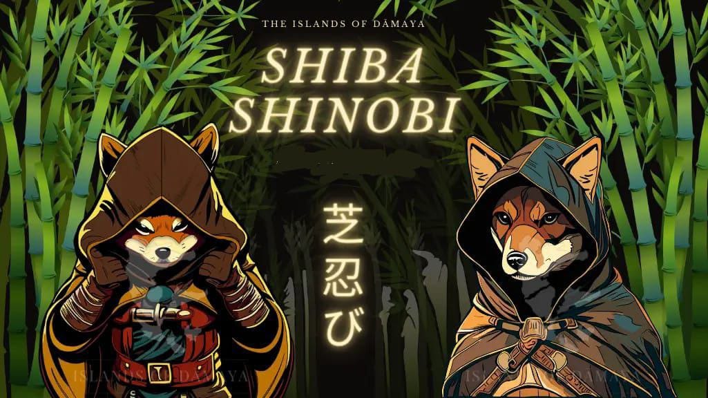 WELCOME TO SHIBA SHINOBI - Shiba Shinobi - Medium