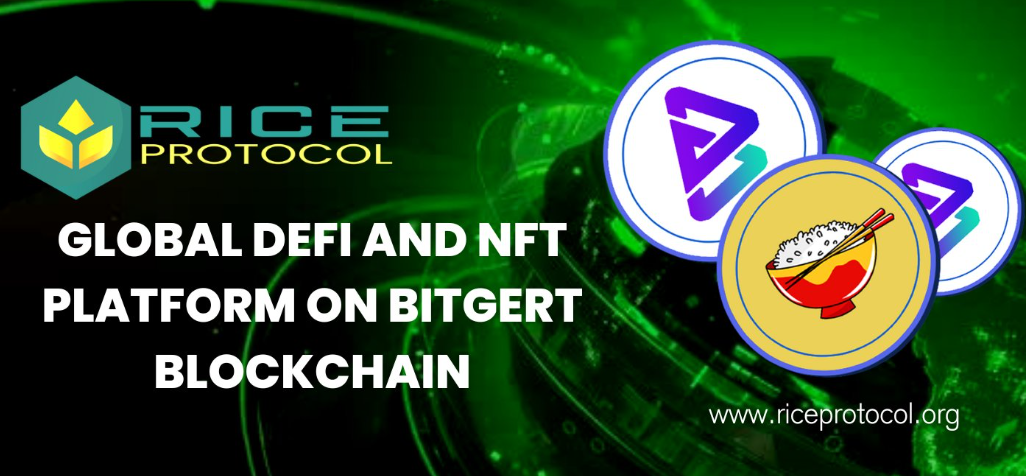 Rice Protocol — Building Based on Bitgert Chain Network For DeFi, Non ...