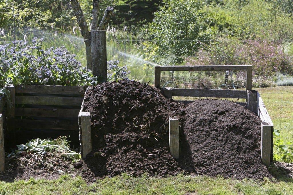 From Scrap to Saplings: Exploring Composting and Grafting | by Camillie ...