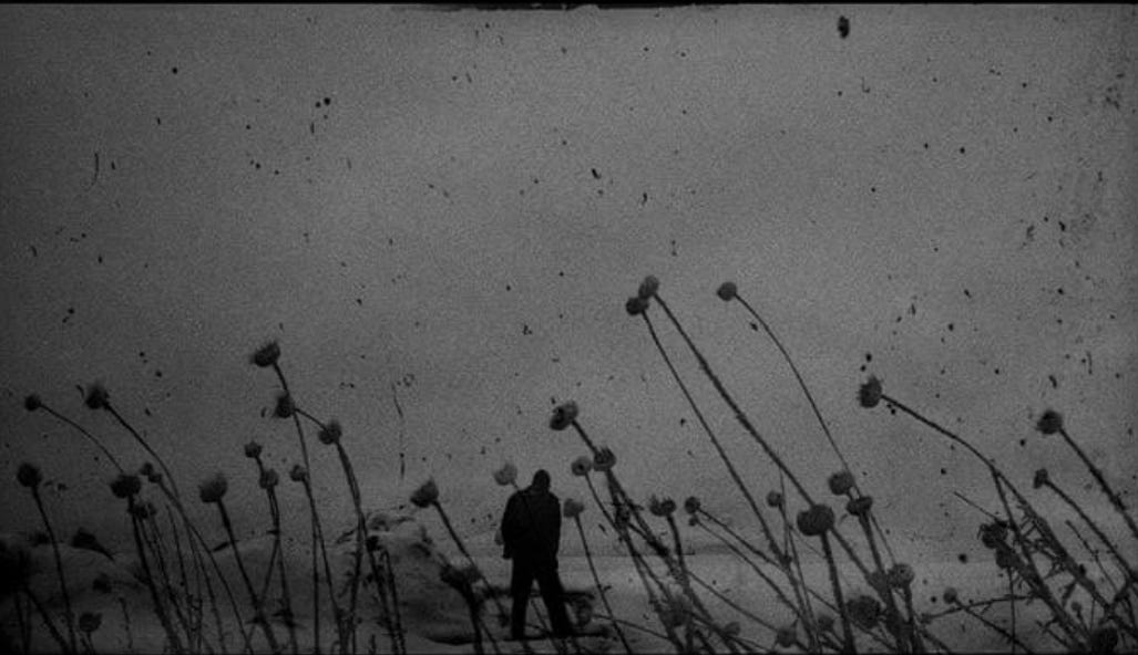 What did the wind whisper? - TheIndian Sage - Medium