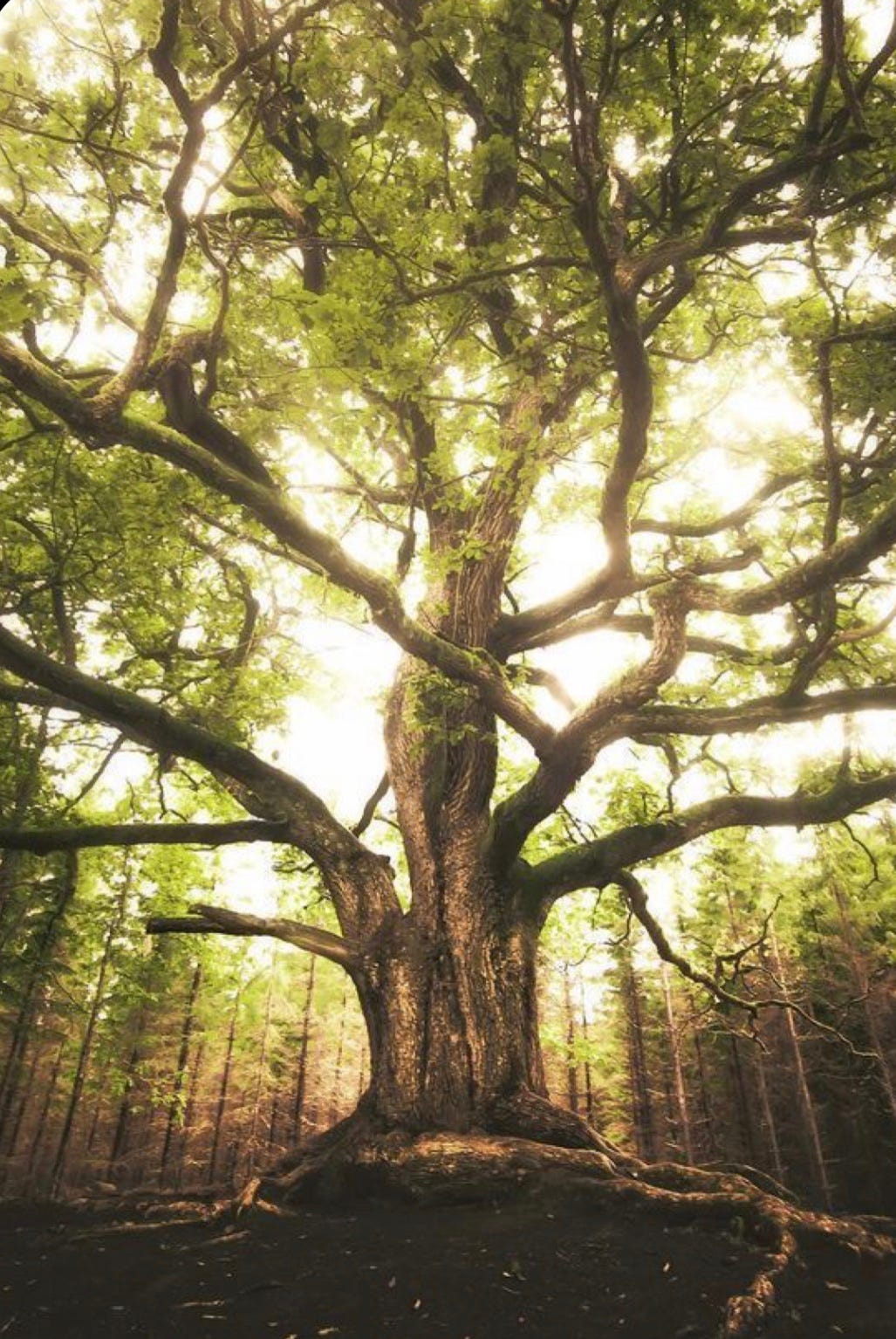 Balance in life | by Alisa Atroshenko | Aug, 2023 | Medium