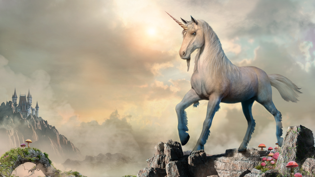 Hiring the Product Management Unicorn | by Art Leyzerovich | Medium