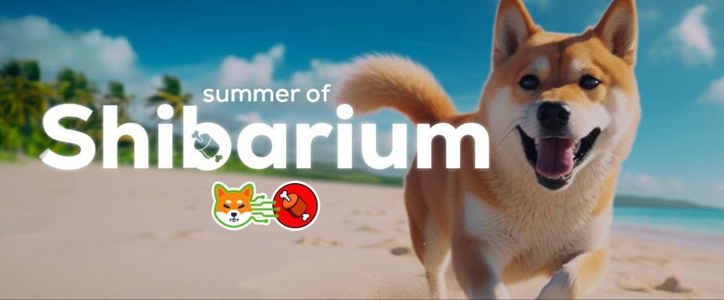 Get ready for a hot Summer of Shibarium! - Summer of Shibarium - Medium