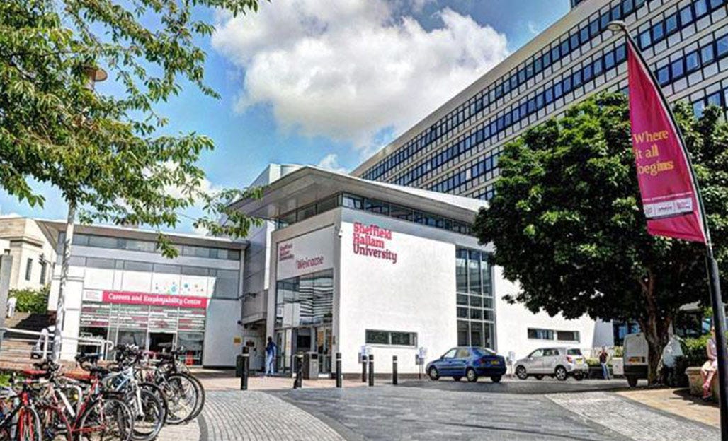 Understanding Academia and University Organization | by Writing For ...