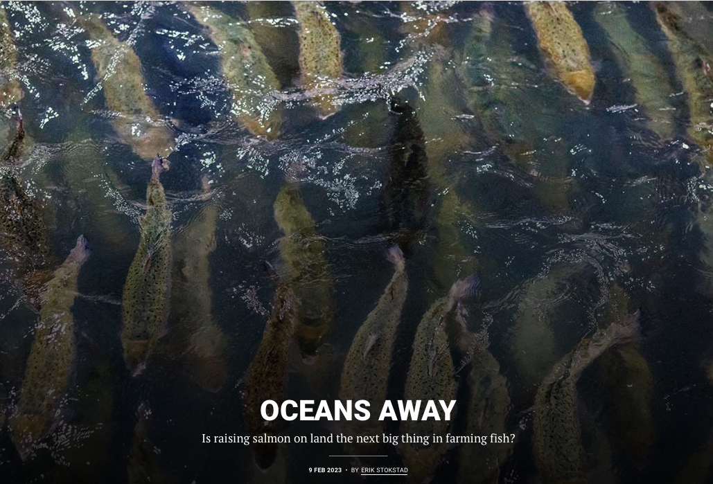 Land-Farmed Salmon. AAAS: “Oceans Away” Today, salmon… | by S. W. Lawrence, MD | Medium