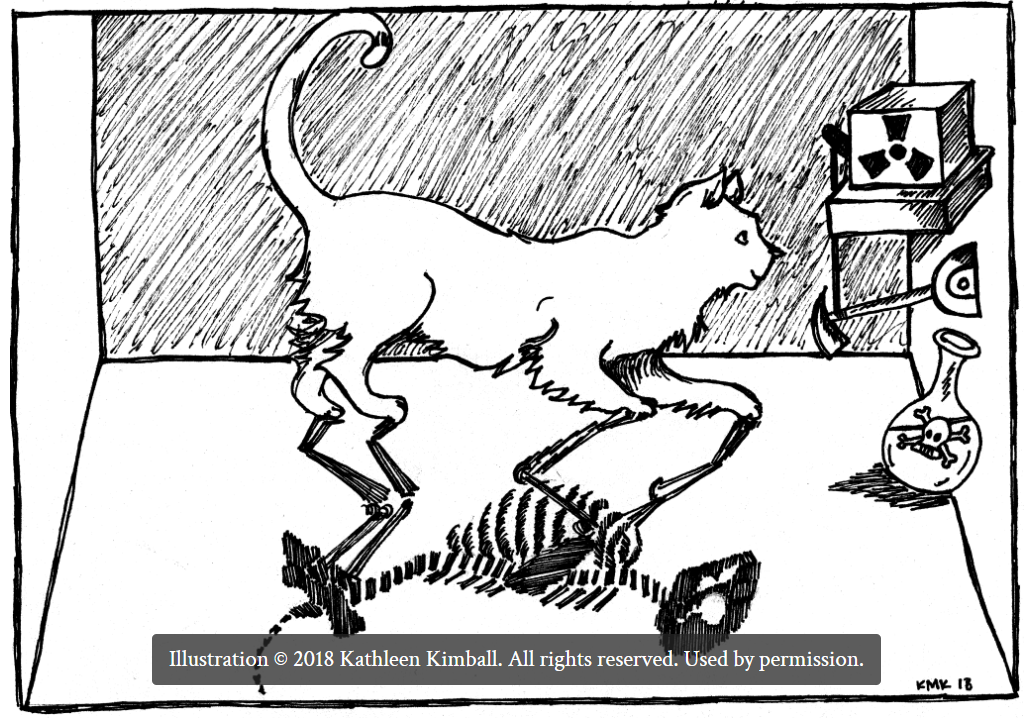 Schrödinger’s Cat: A Thought Experiment in Quantum Mechanics | by Amal ...