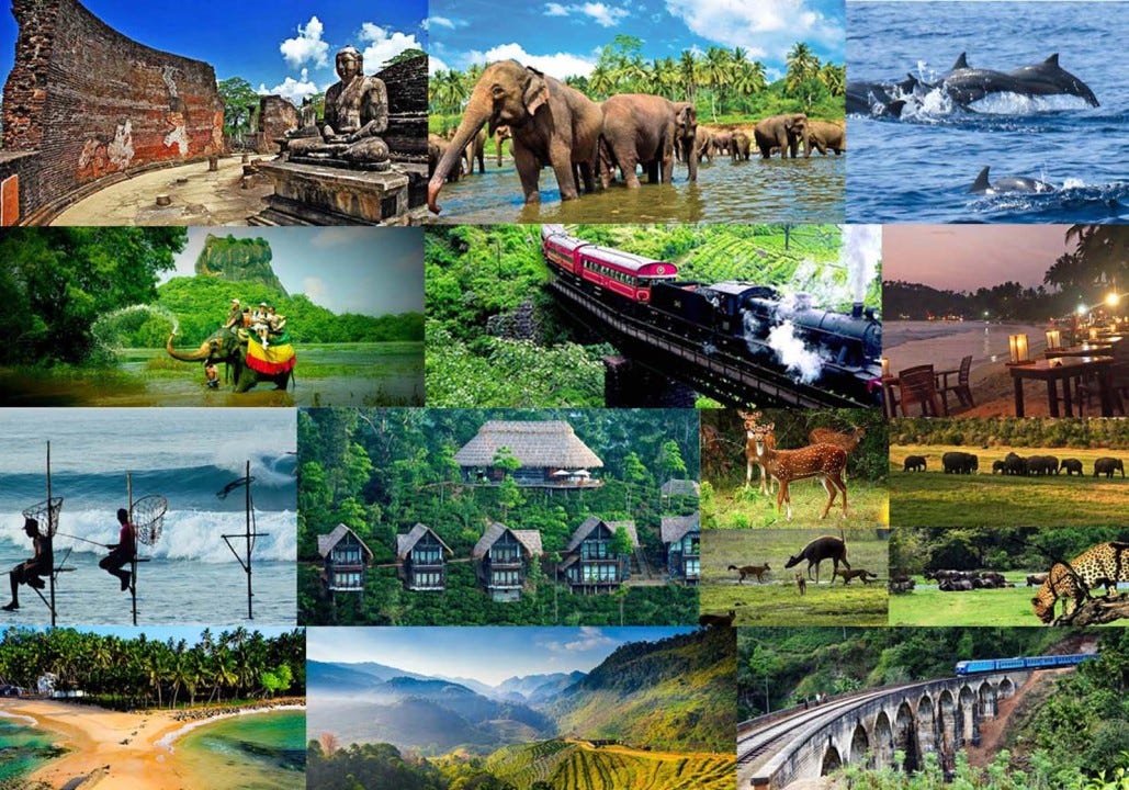 Embracing the Serenity of Sri Lanka: A Journey Through Culture, Nature, and Tranquility | by ...
