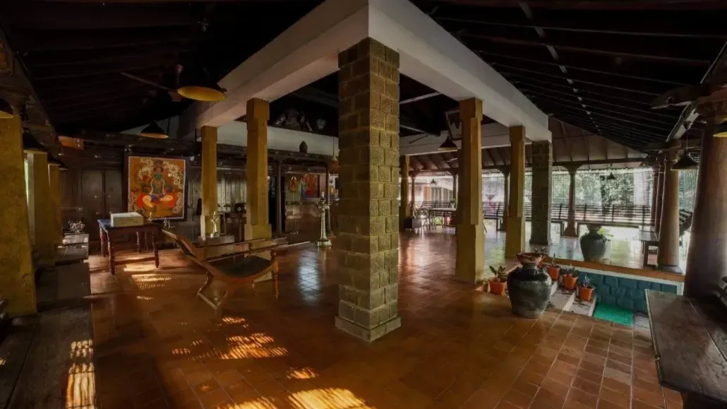 How Ayurveda Shapes My Longevity Quest: Unraveling the Depths of ...
