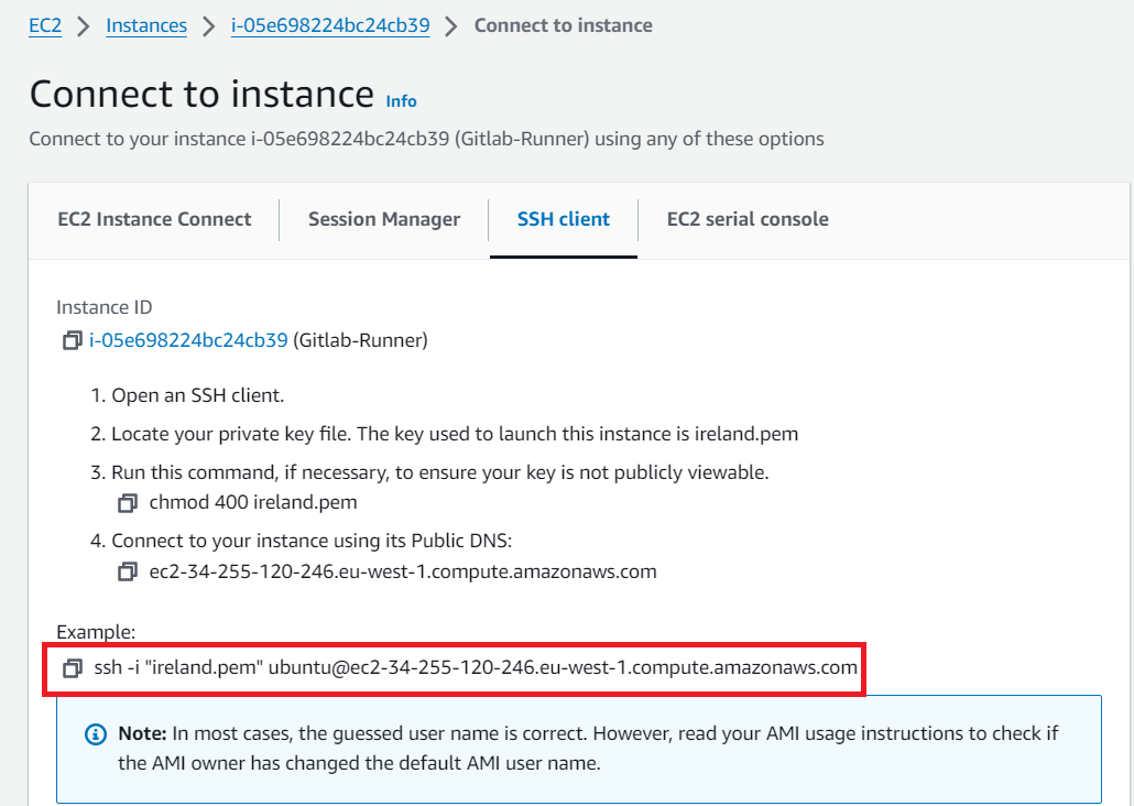 Configuring Multiple GitLab Runners on a Single AWS EC2 Ubuntu Instance | by Mudasir | Medium