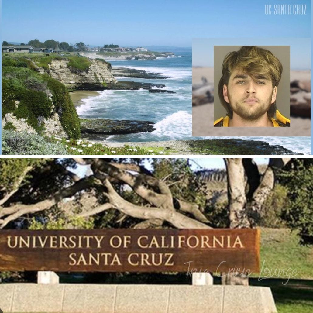 Former UC Santa Cruz Student Arrested in Allegedly Strangling ...