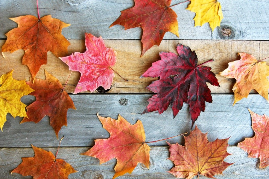 B-Tree. What is a tree? The basic structure of… | by Jordan Estes | Medium