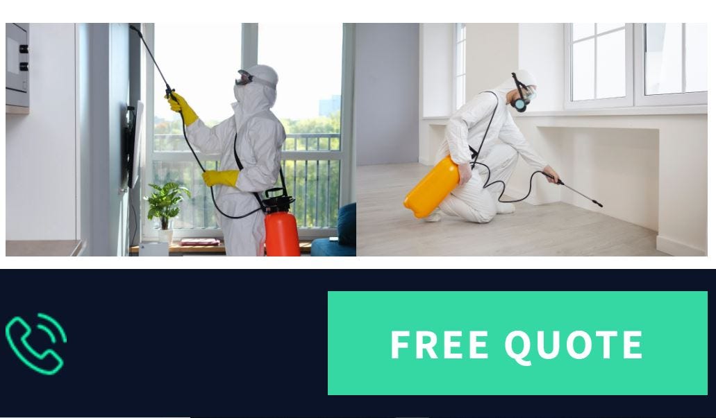 Termite Treatment Gold Coast - Thepestand Termitecompany - Medium