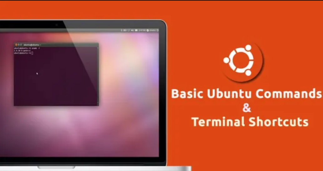 Ubuntu Beginner’s Guide: The Top 10 Commands You Need to Know | by Taranath | featurepreneur ...