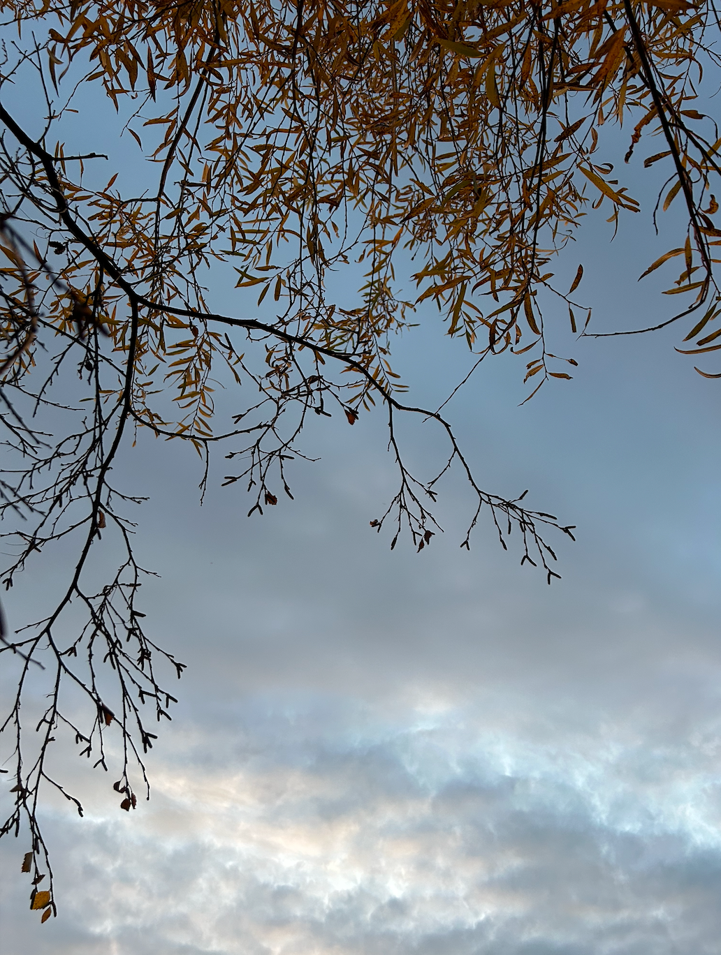 to stay or to go?. funny how a song I once belted from the… | by Skylar ...