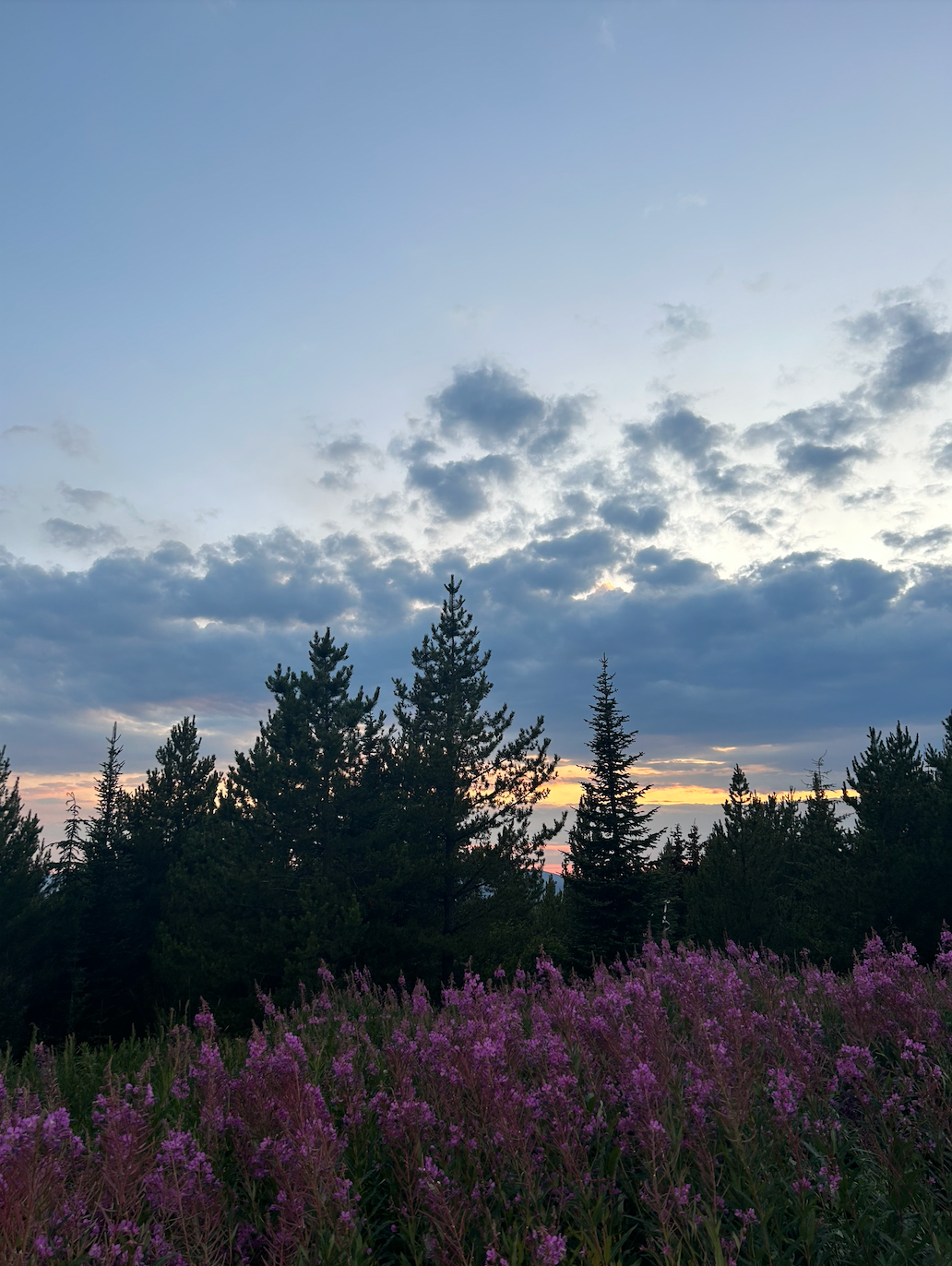 waiting for you - Skylar Whitney - Medium