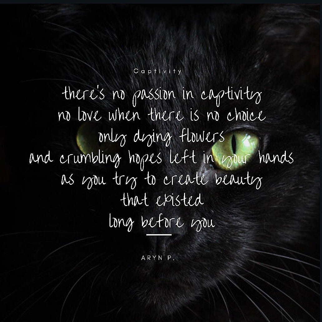 Captivity. You can try and stifle a wild animal | by Aryn P. Noire | Medium