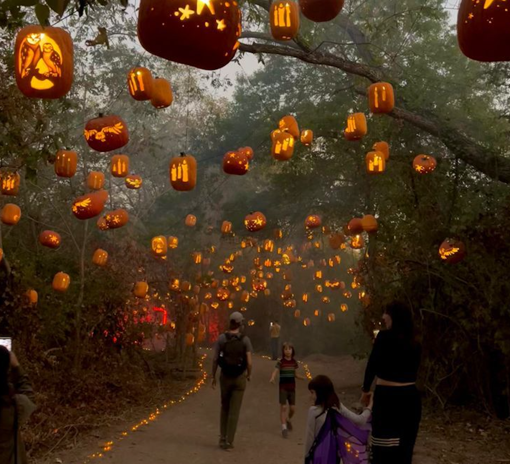 My Favorite Time of Year. Halloween is the best, and you can’t… | by ...