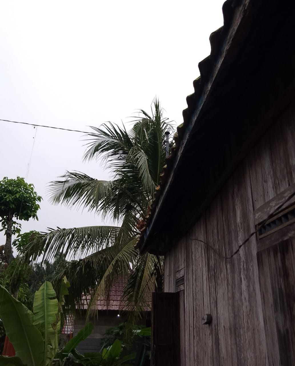 Memutar Episode yang Dinanti. Hari ini aku kembali. Ke tempat dan… | by ...