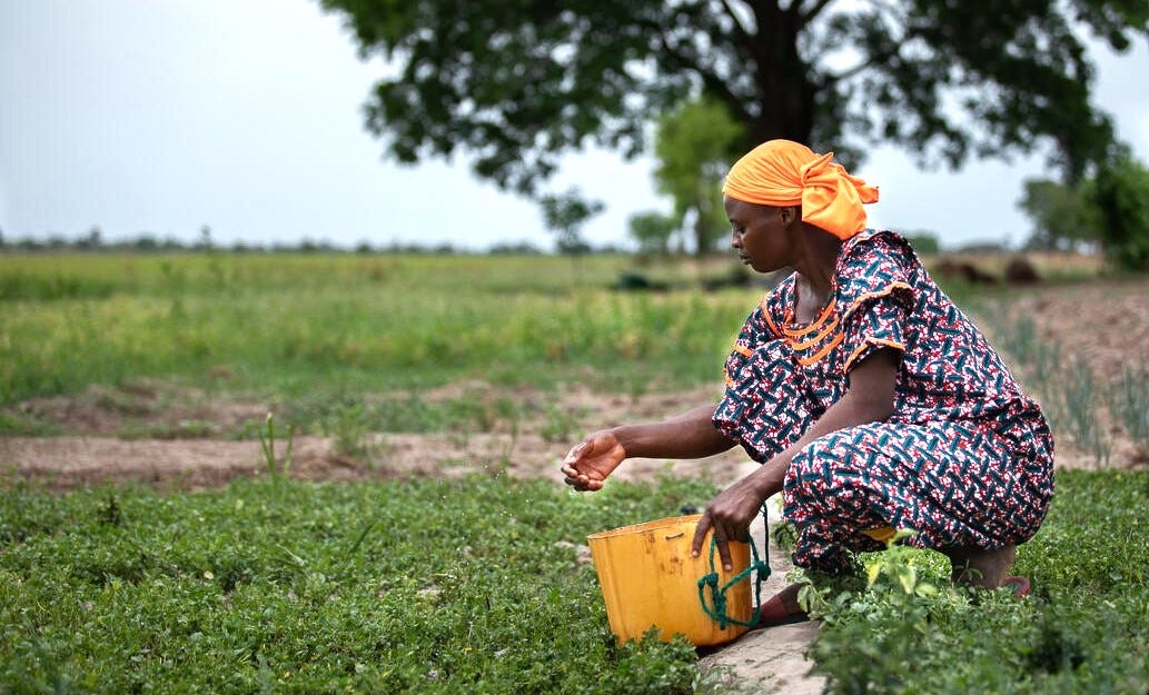 Barbara Clemens: “Evidence gives you a believable story” | by WFP ...
