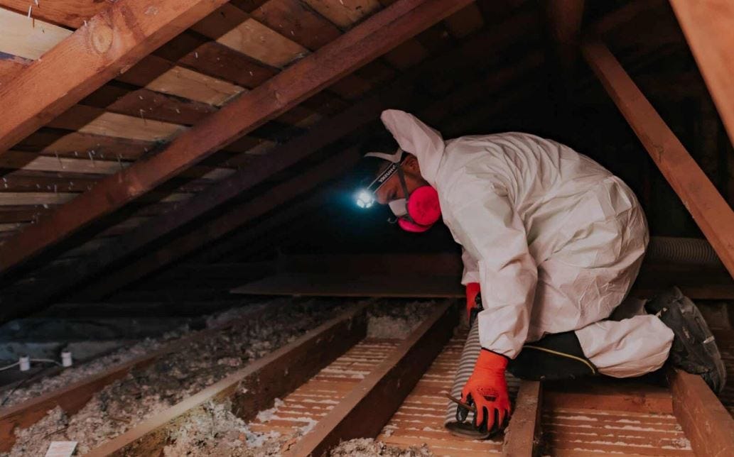 Fascinating Attic Cleaning Near Me Gallery
