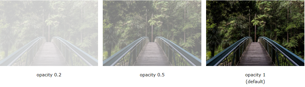 CSS. Opacity: The opacity property sets the… | by Mhide Exchange | Sep, 2023 | Medium