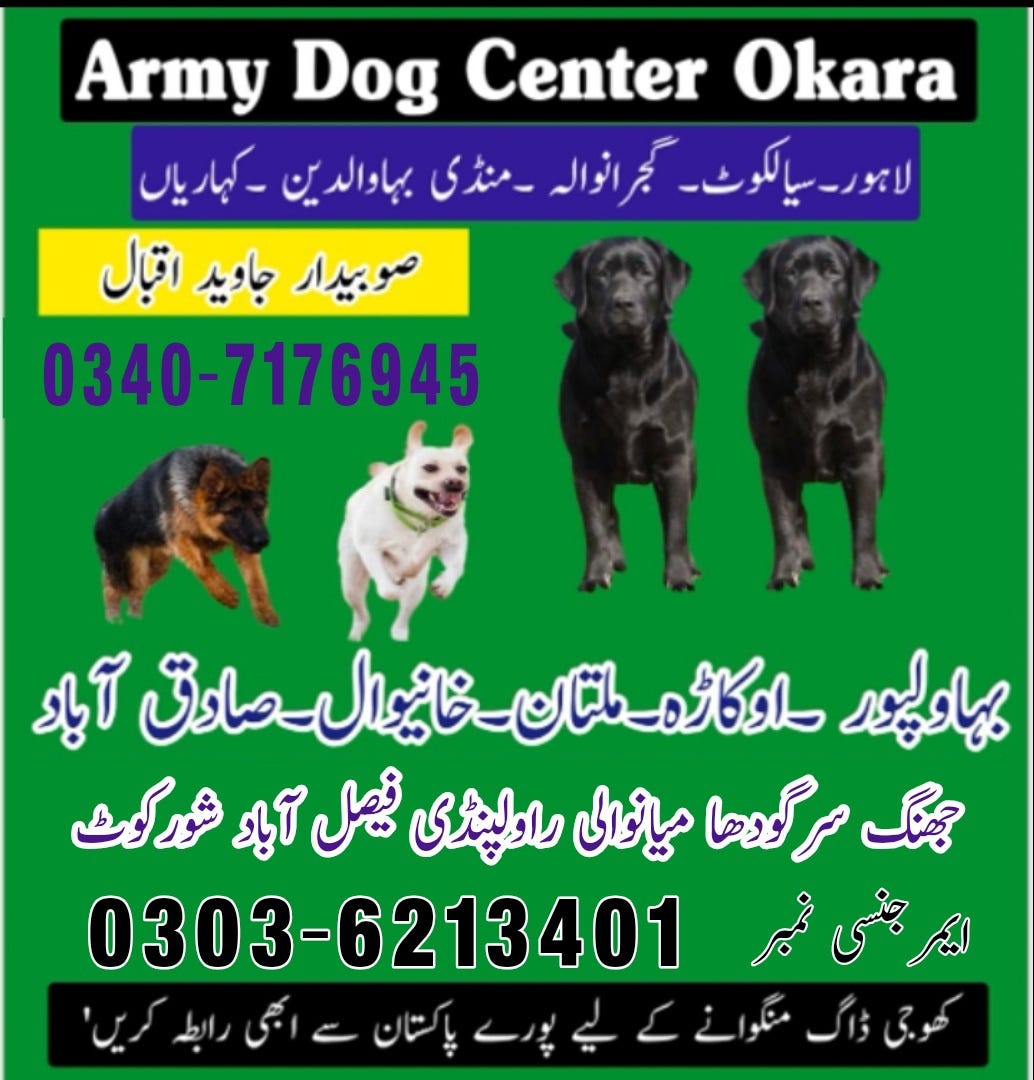 Army Dog Center Quetta 03036213401 - Armydogcentersargodha03407176945 ...