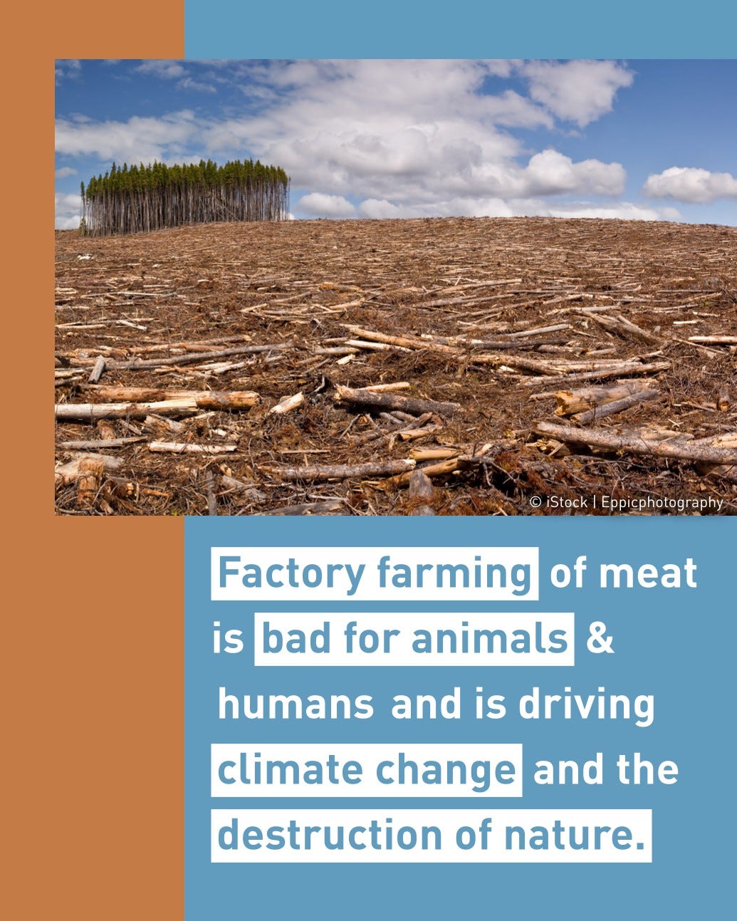 Meat is eating up the planet | by Tarlan Isaev | Apr, 2023 | Medium