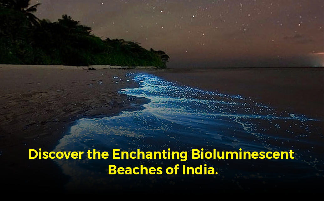 Discover the Enchanting Bioluminescent Beaches of India. - Ukarishma ...