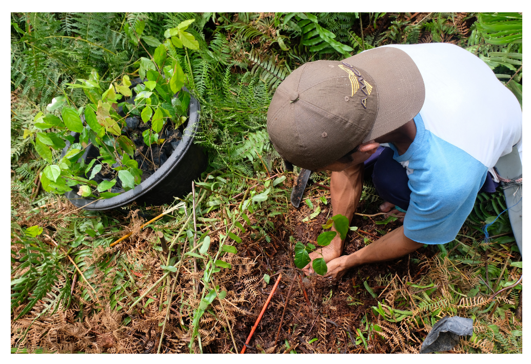 Forest landscape restoration through community-based initiatives: A ...