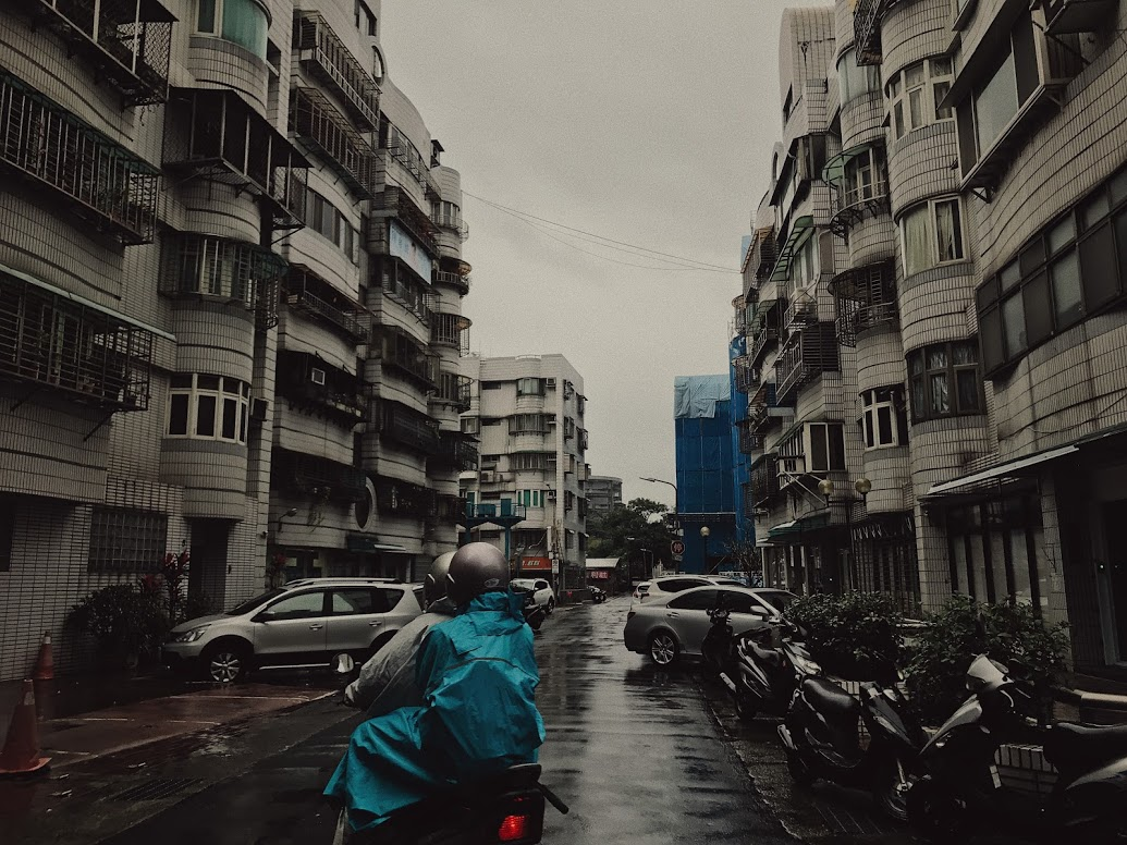 Dear Taiwan, Stop Killing Pigeons | by Warren Bischoff | Hamik | Medium