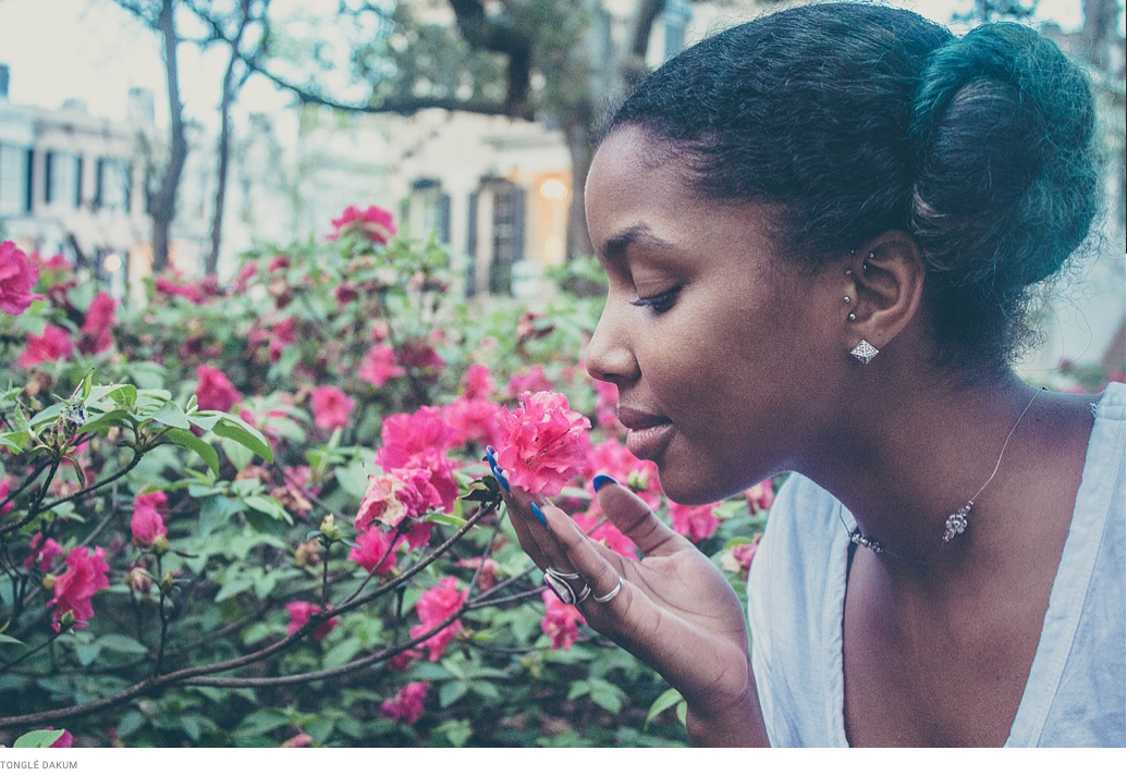 Nasal Nostrums. AAAS: “Human noses sniff 20 times… | by S. W. Lawrence ...