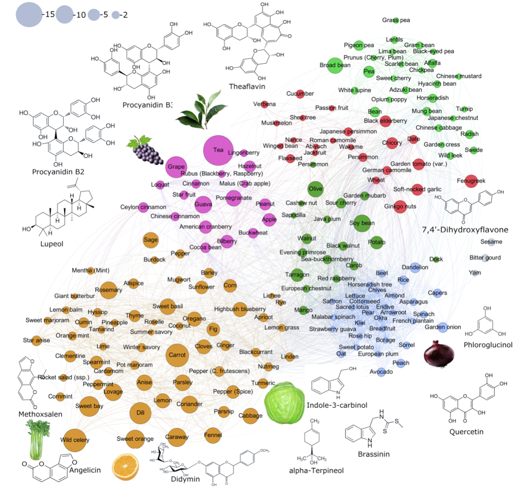 Hyperfoods. A quantum leap in how our food is… | by TDS Editors ...