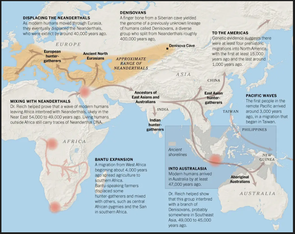 About the ‘Ancient East Eurasian’ genetic lineage | by TheGeneticist ...