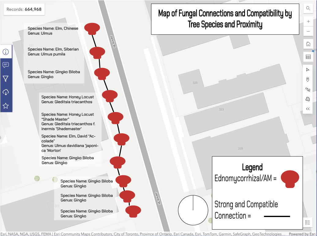Map of Fungal Connections and Compatibility by Tree Species and ...