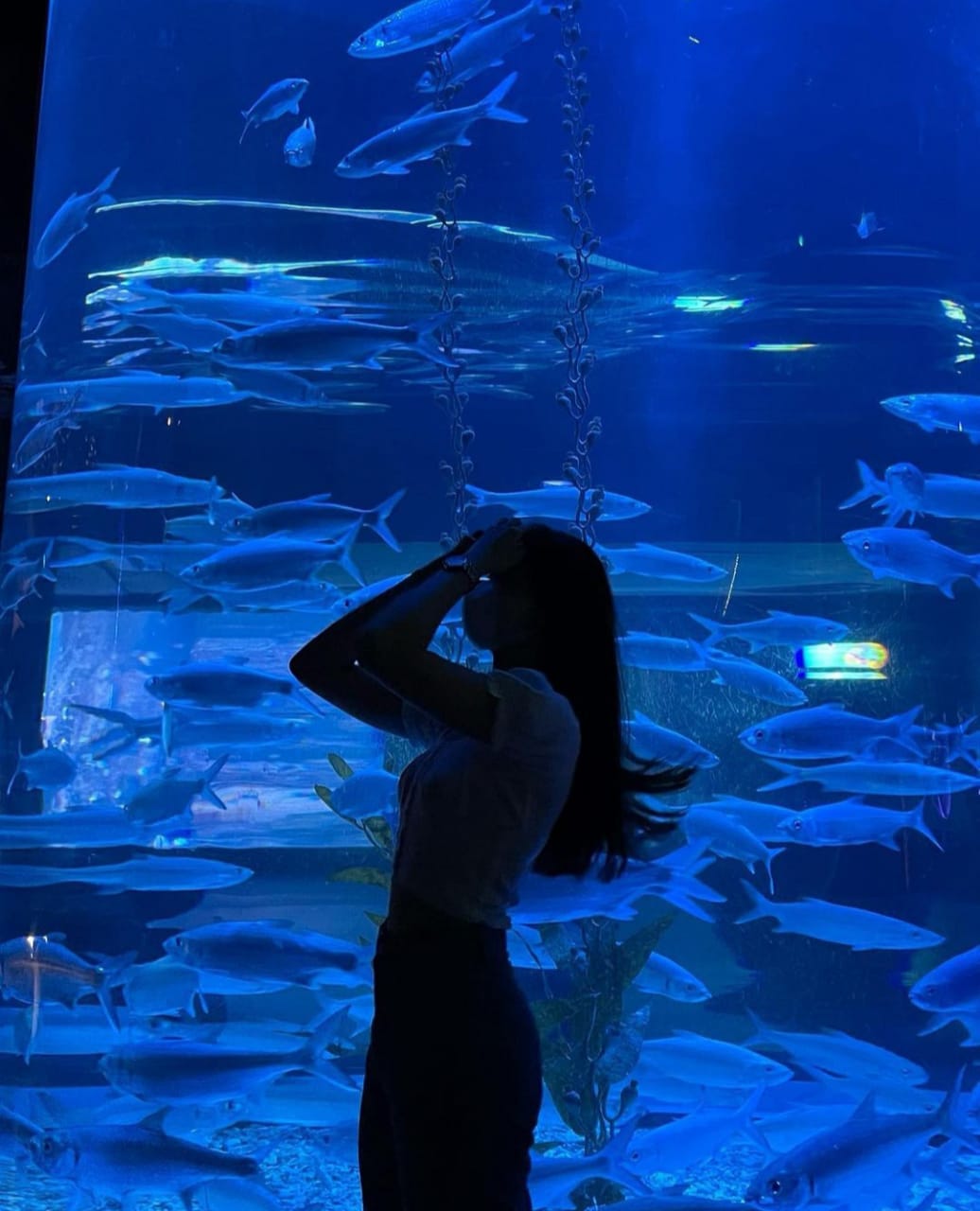 Terkekeh. “Hihihihi! Emang enak aku kerjain.” | by papazelaa | Medium