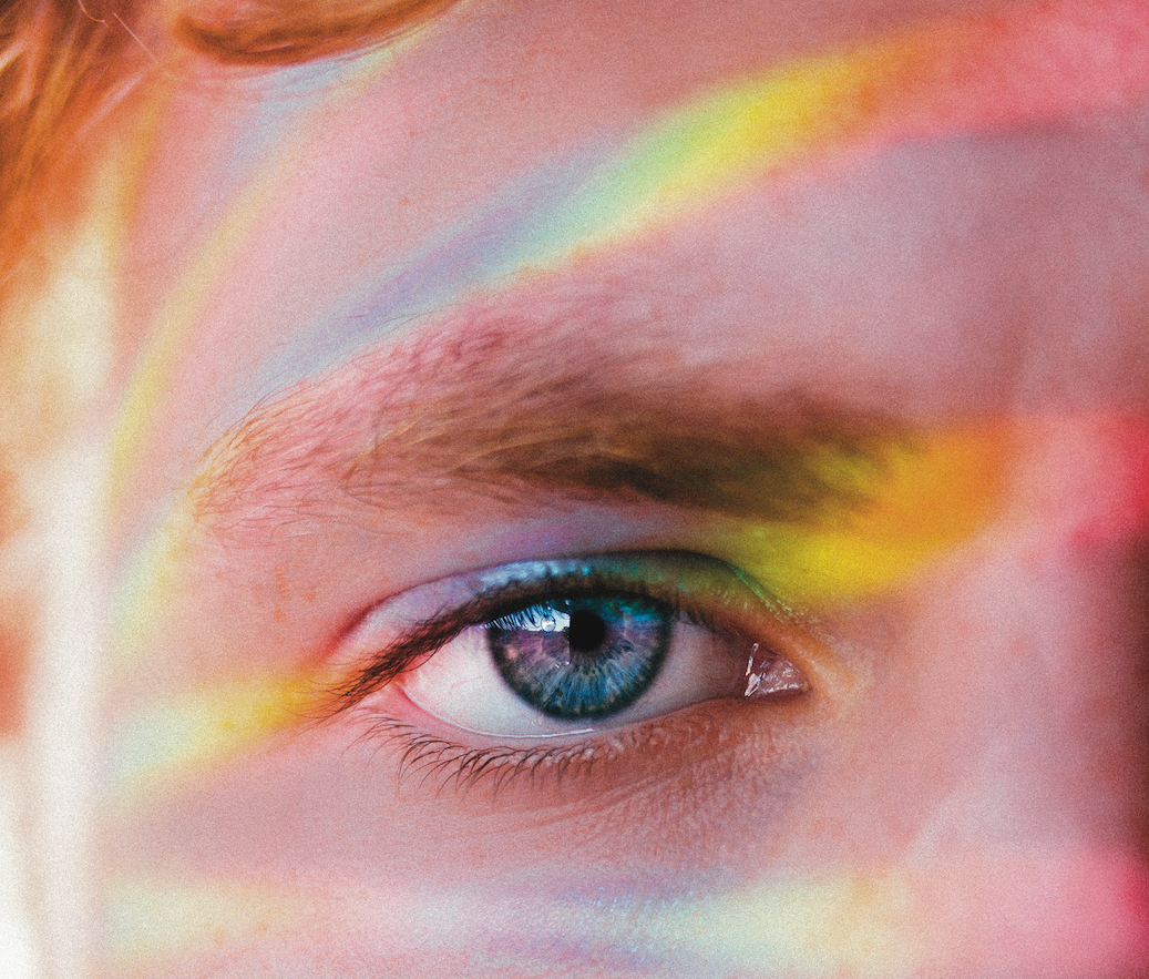 Evolution of Eyes. Eyes are terrible at leaving behind… | by Daniel ...