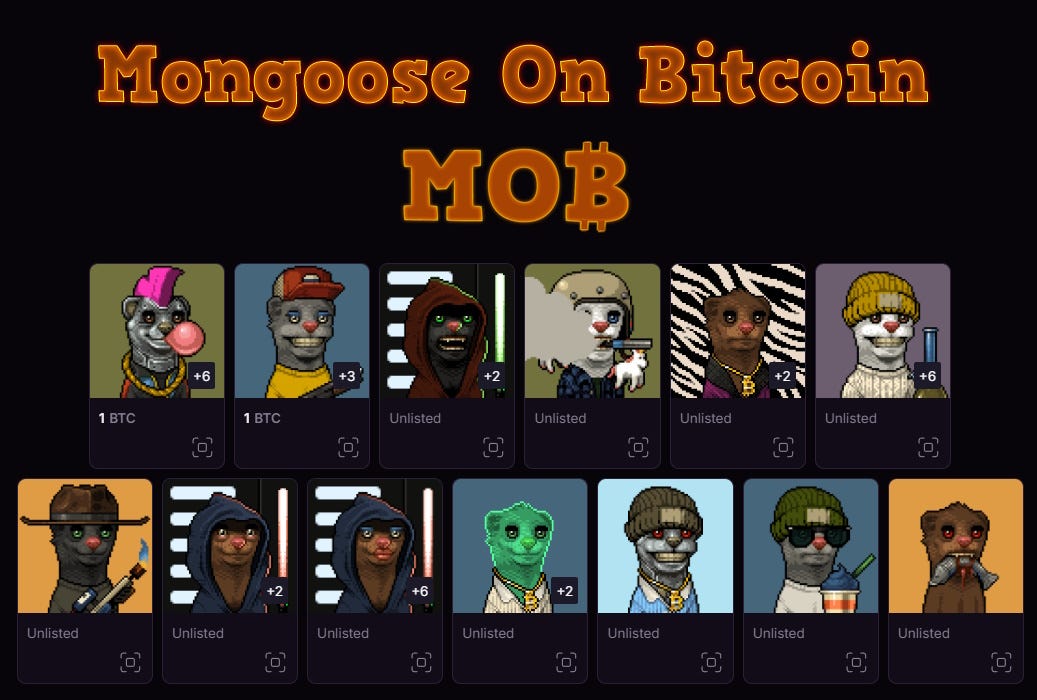 Mongoose On Bitcoin (M.O.B.). Several Mongs NFT’s have already… | by ...