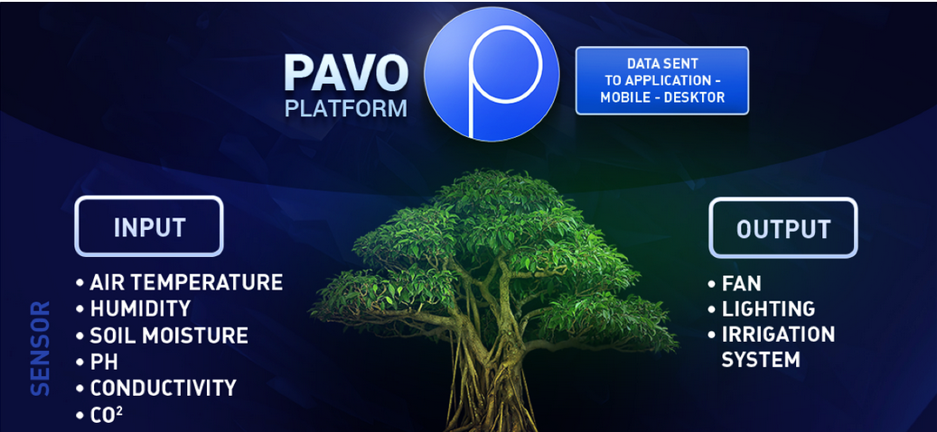 PAVO — IoT Blockchain for the AgTech Ecosystem | by asha hirpara | Medium