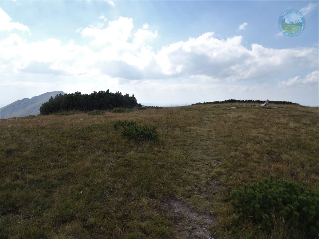 Planinica 2.330 mnm, Durmitor. Početak staze: 1.530 mnm, sa kraja… | by ...