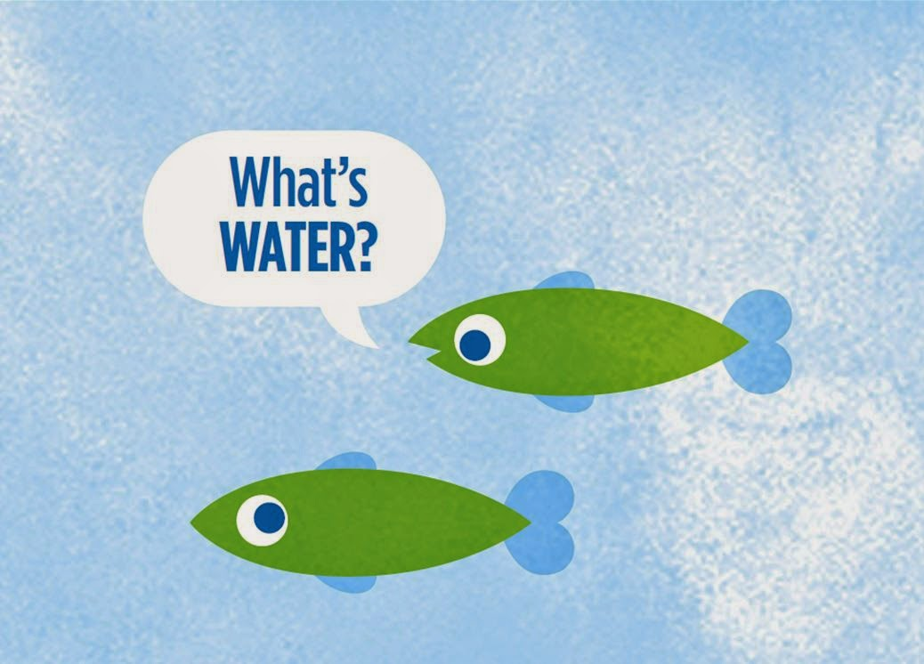 Making Water Visible. Why Having A Beginners Mindset And… | by Harry ...