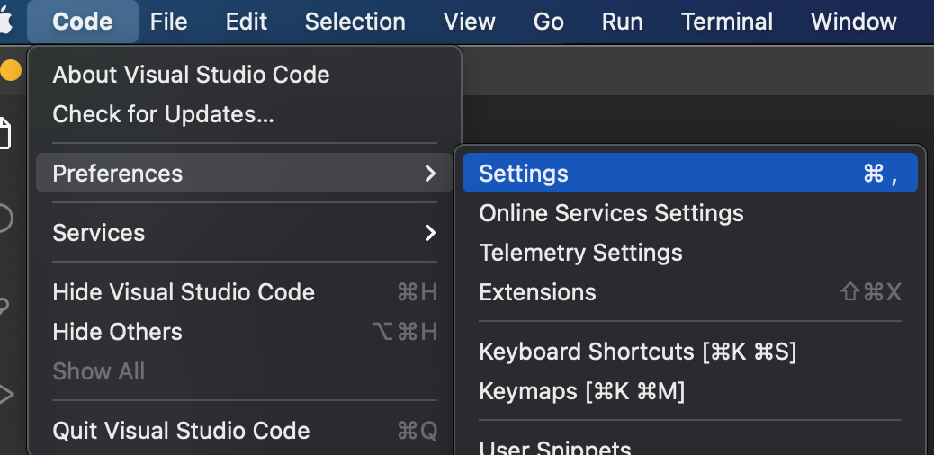 Default Terminal in VSCode (zsh, bash) | by Raz Goldin | Medium