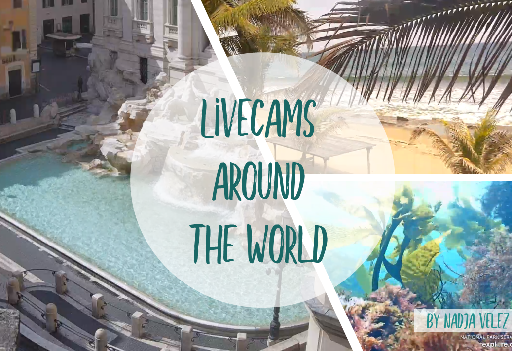 Live cameras of the world to escape quarantine | by Nadja Velez 🍃 ...