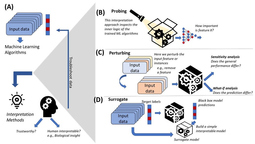 Machine Learning Interpretability from a New Lens in Biomedical ...